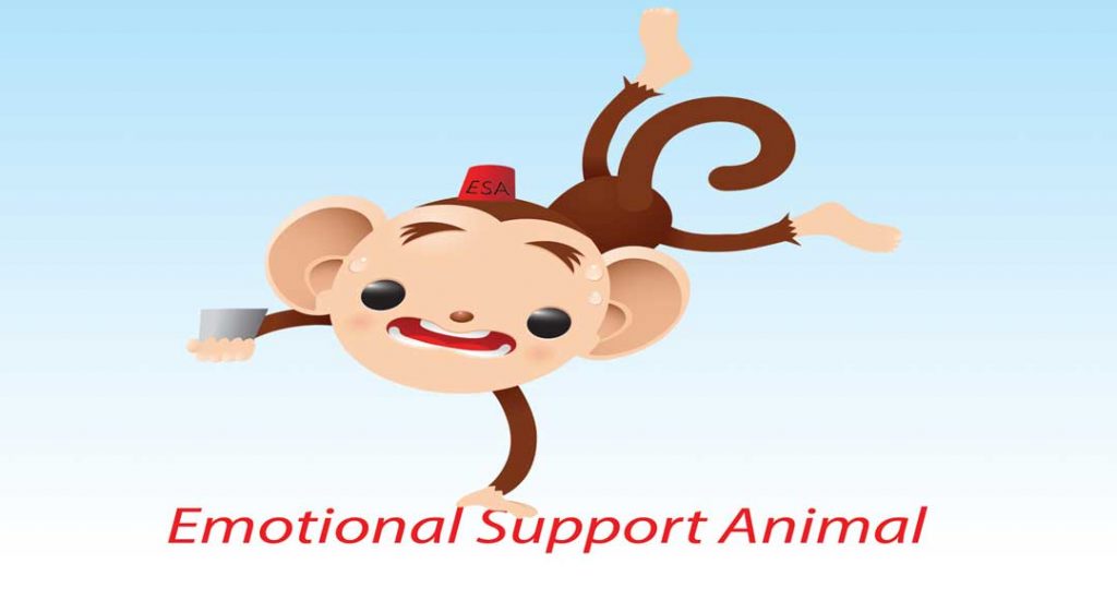 Special Olympics World Games Abu Dhabi