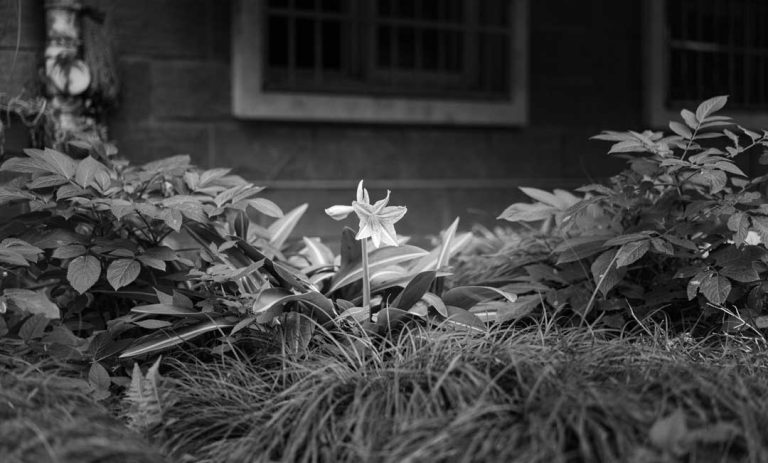 Fengzhao (Lucas) Xu – Lens of Resilience - ABILITY Magazine