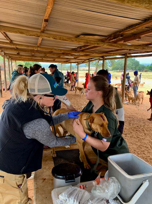 Dr. Julie Buzby — Veterinary and Mental Health Advocate - ABILITY Magazine