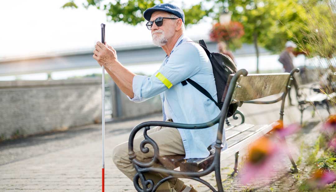 Hearsee Mobility — Blind and Low Vision Navigation Technology – ABILITY ...