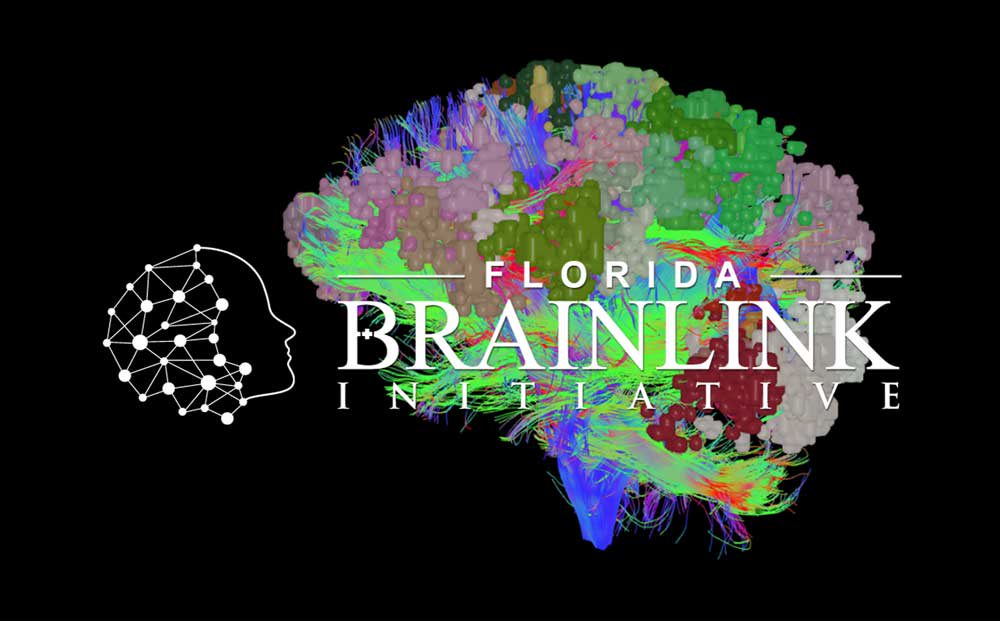 Gaming for All: Disability, Accessibility and Representation